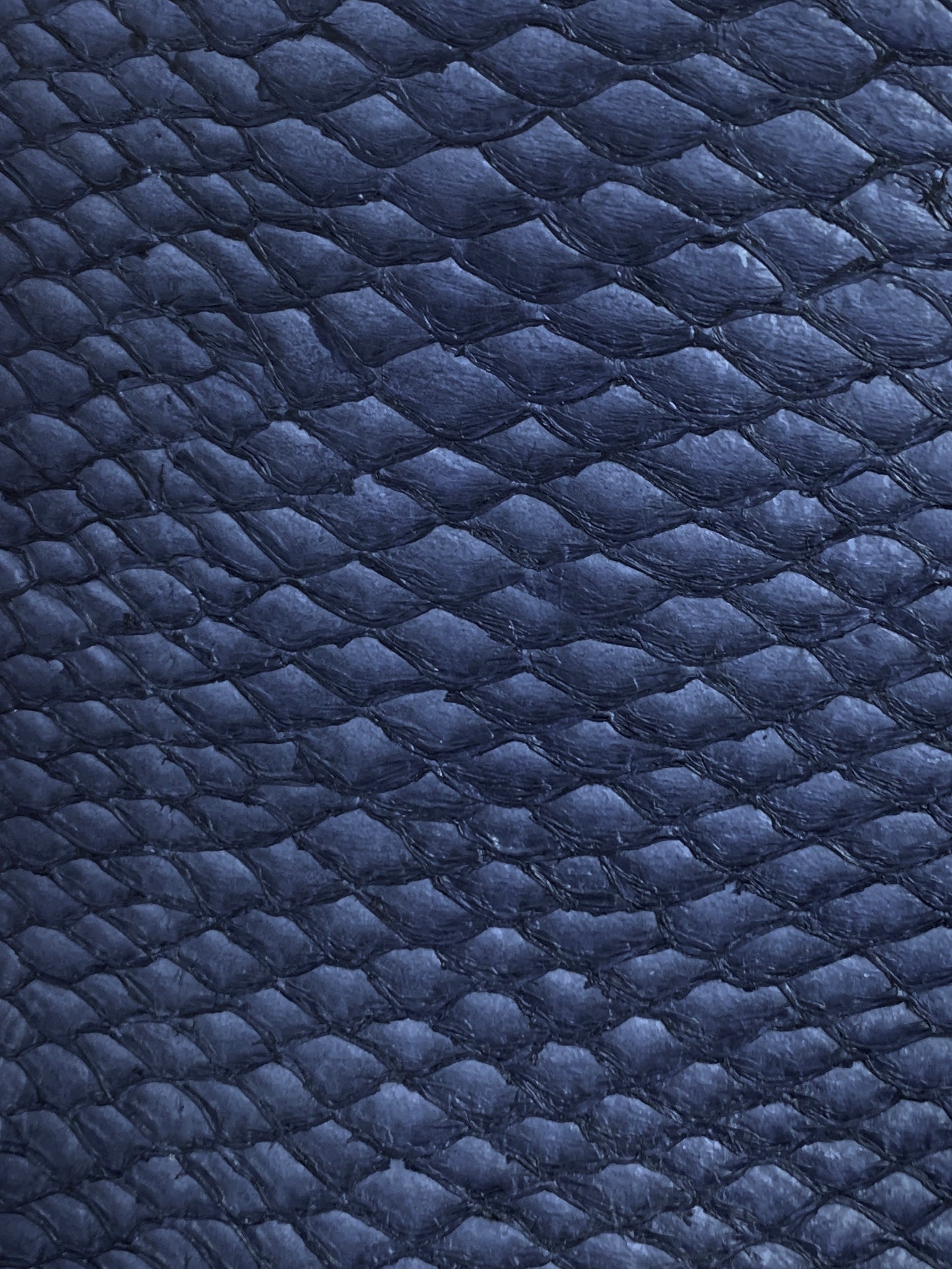 コレクション – Ocean Leather